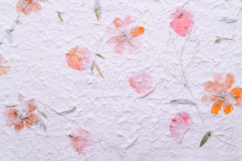 Mulberry Paper Sheet Decorated with Dry Flower and Leaf Stock Image ...