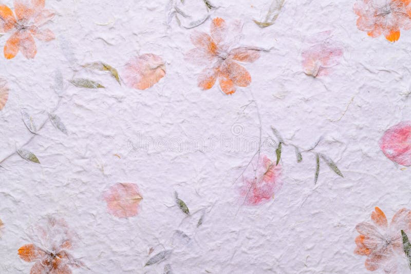 Mulberry Paper Sheet Decorated with Dry Flower and Leaf Stock Image ...