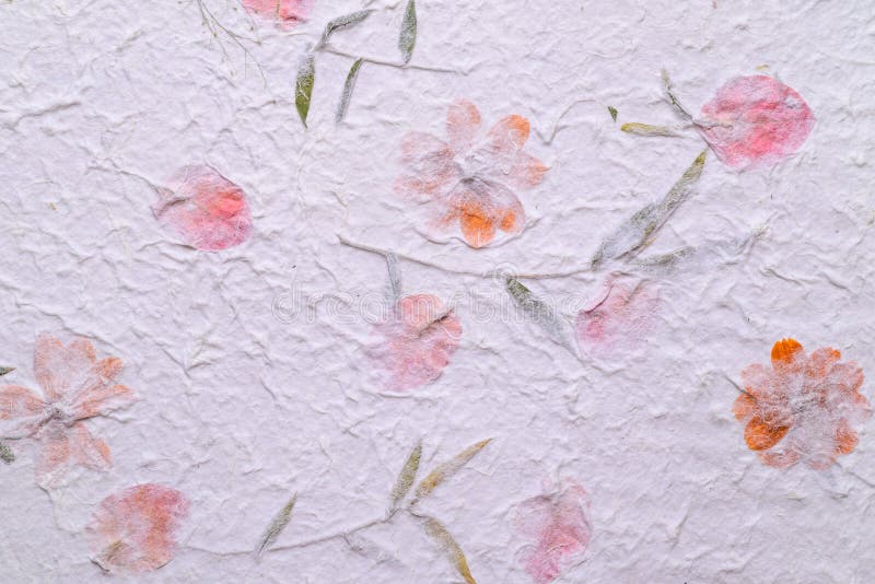 Mulberry Paper Sheet Decorated with Dry Flower and Leaf Stock Image ...