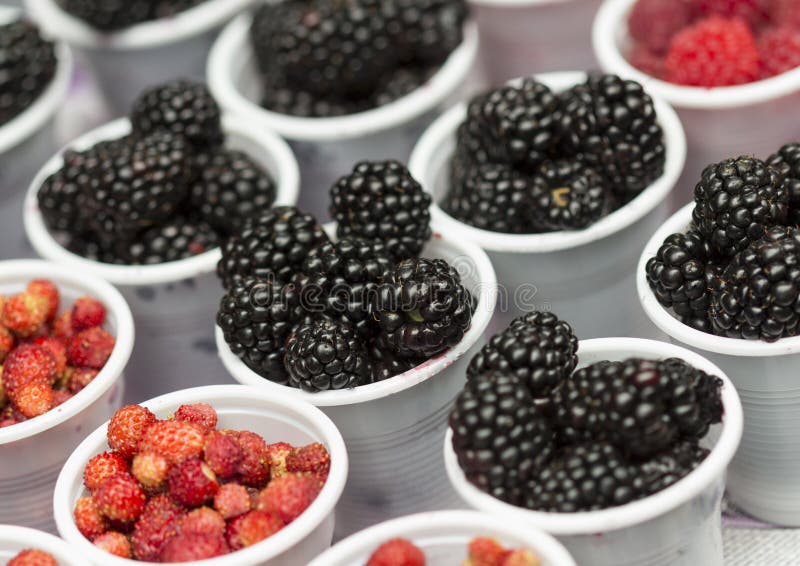 Mulberry and raspberries stock image. Image of antioxidants - 56561847
