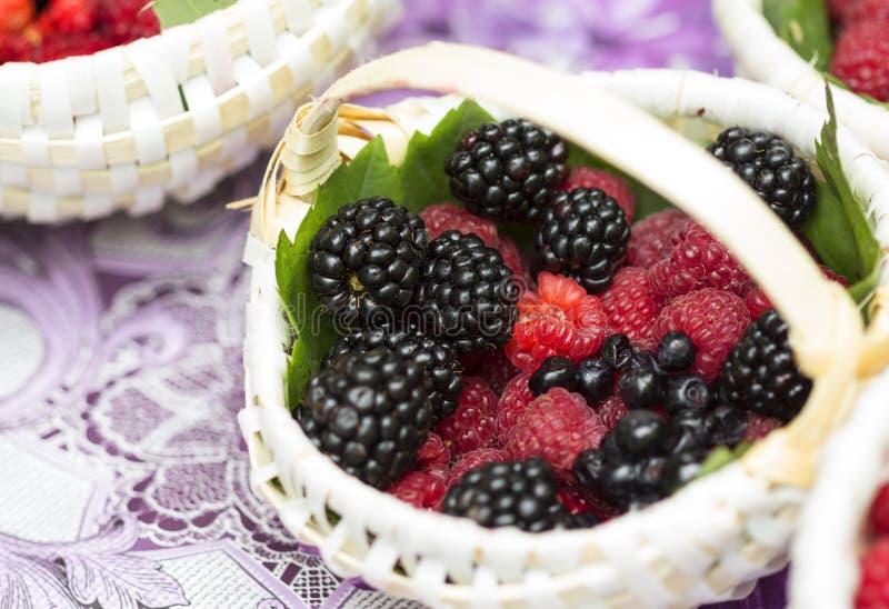 Mulberry and raspberries stock photo. Image of flavonoids - 56561754