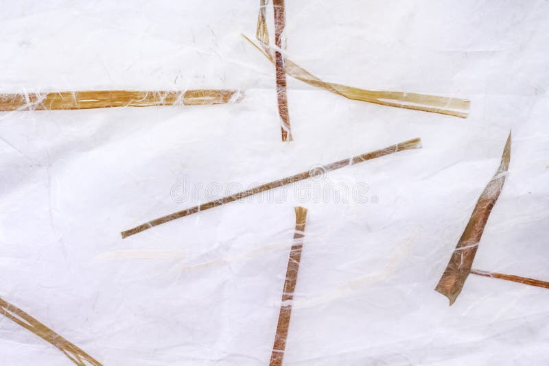 Mulberry Sa Paper Texture with Dry Grass and Leaf Patterns Abstract ...