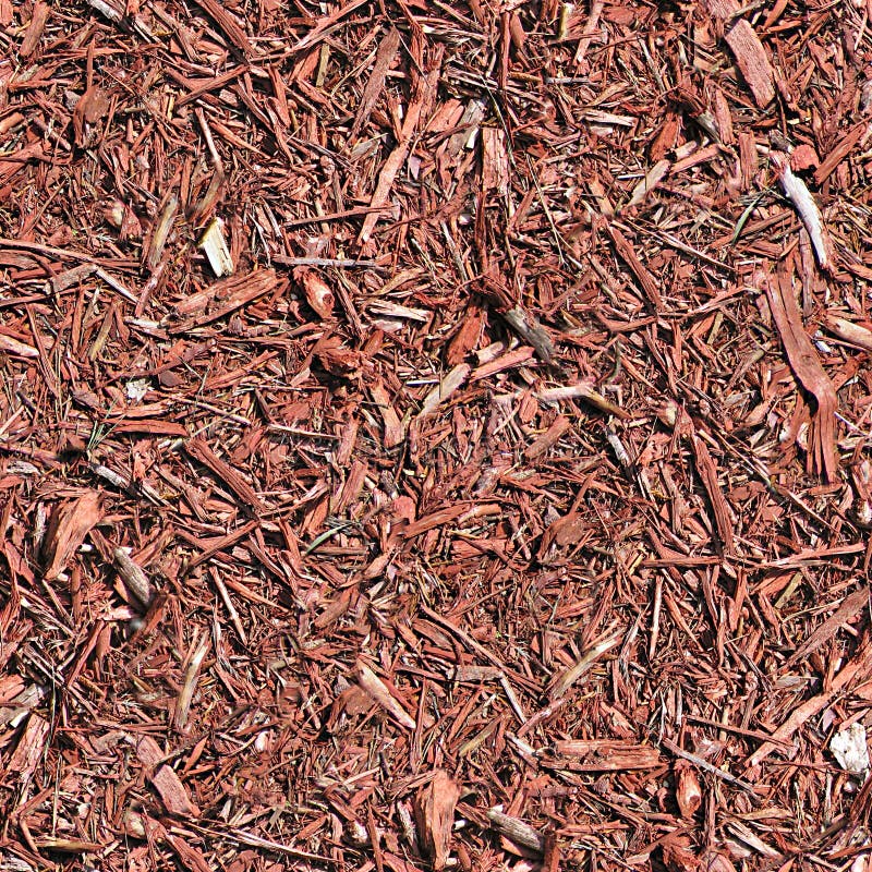 Mulch Bark Seamless Texture Stock Image - Image of pulp, ground: 40140761