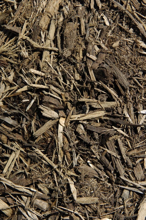 Mulch background stock photo. Image of groundskeeping, outdoors - 755182
