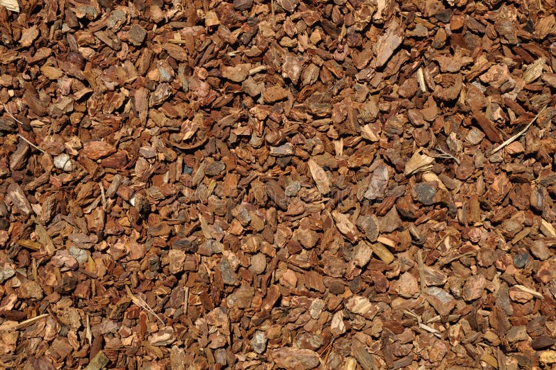 Mulch Background stock image. Image of wooden, environment - 14665793