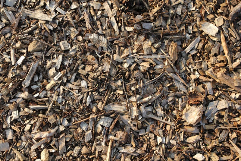 Mulch background stock photo. Image of groundskeeping, outdoors - 755182