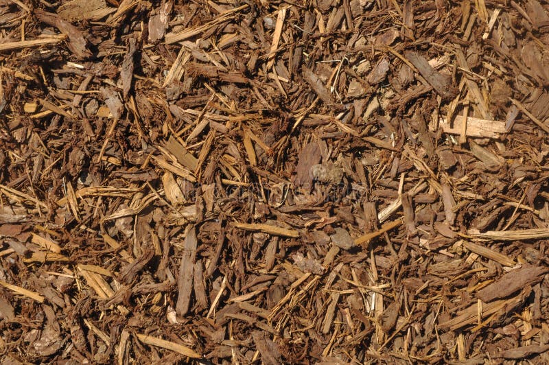 Mulch Brown Decorative Bark Stock Photo - Image of mulch, texture: 50328504
