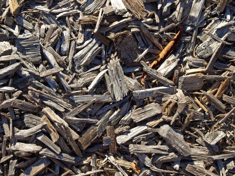 Mulched ground stock photo. Image of work, path, pine - 16342964