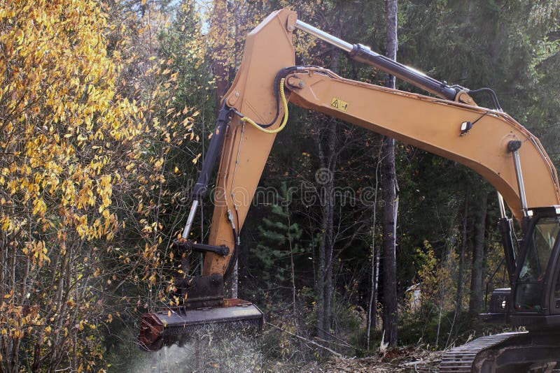 Mulcher on an Excavator Clears Roadside from Small Trees and Shrubs ...
