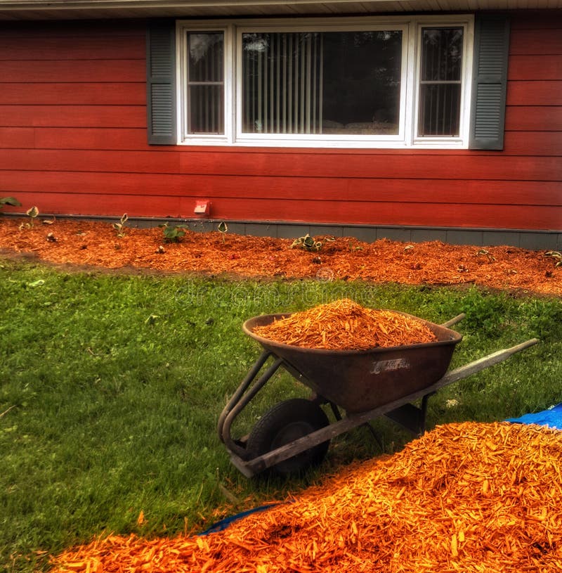 Mulching the flower beds stock photo. Image of orange - 185929396