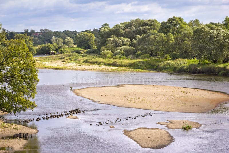 Mulde River in summer stock photo. Image of dessau, mulde - 62505726