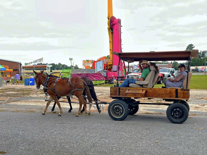 Mule Cart in a Moroccan Village Editorial Image - Image of rural ...