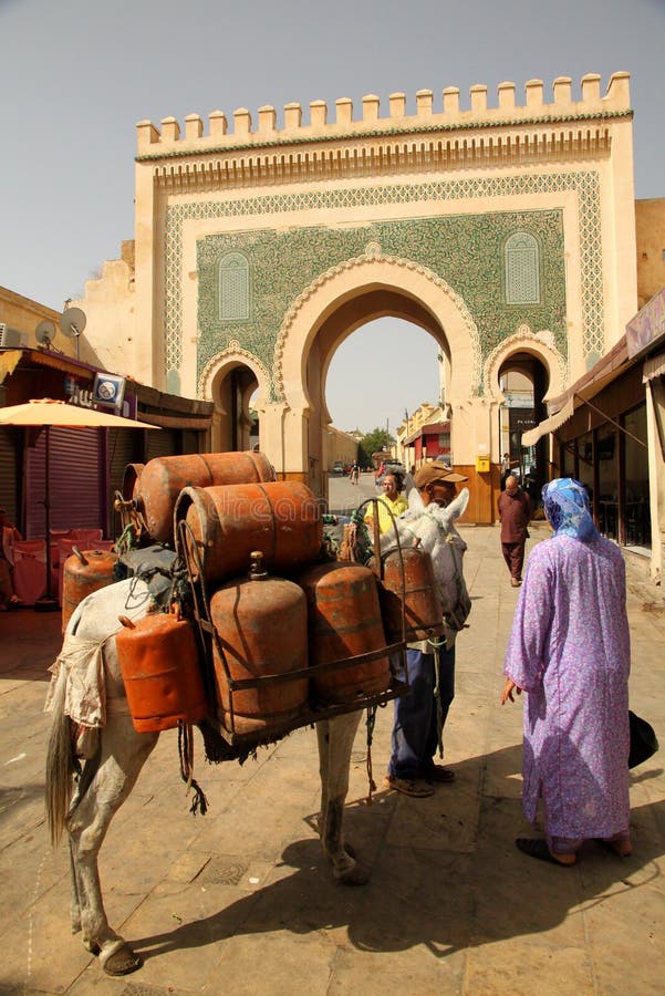 Mule transport in Morocco editorial stock image. Image of animal - 17948274