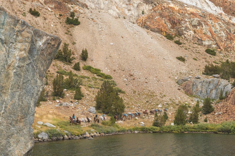 Mule Pack Train in Mountains Editorial Image - Image of mule ...