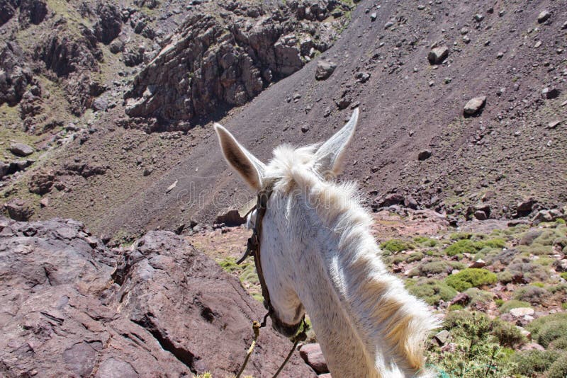 Riding High Atlas Stock Photos - Free & Royalty-Free Stock Photos from ...