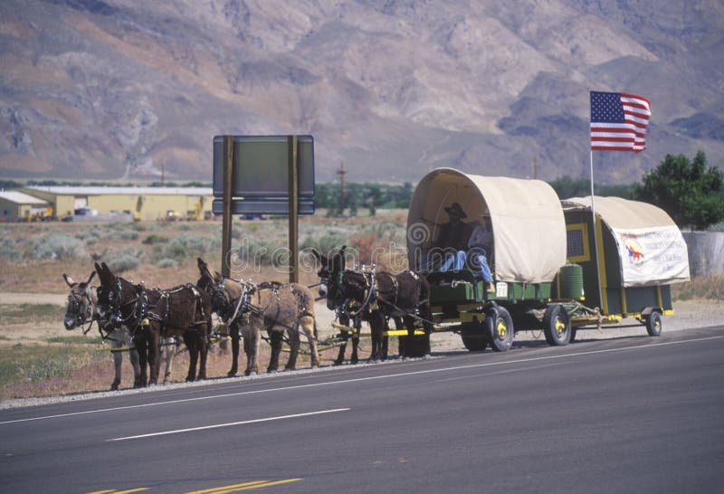 The 2 Mule-team Wagon Used As a Caisson for Dr. Martin Luther King, Jr ...