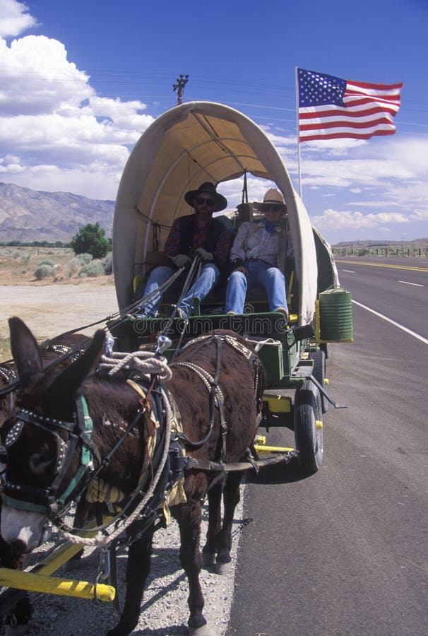 Mule Team and Wagon on Freeway Near Bishop, CA Editorial Photography ...