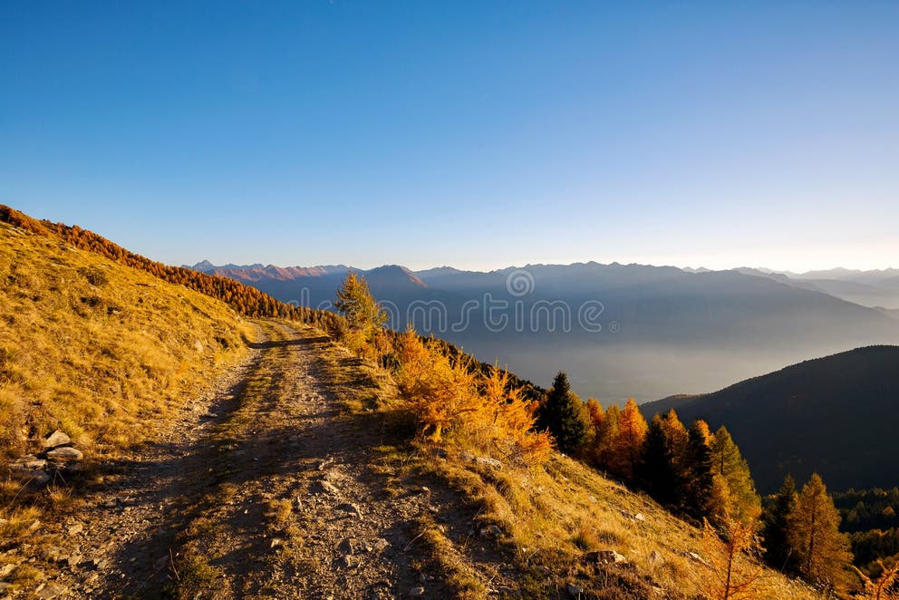 Mule track stock image. Image of meadow, larch, outdoor - 192099305