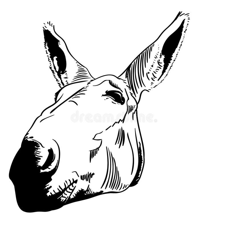 Mule Vector Eps Illustration by Crafteroks Stock Vector - Illustration ...