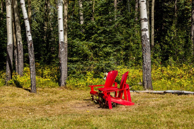 Muleshoe Banff National Park Alberta Canada Stock Image - Image of ...