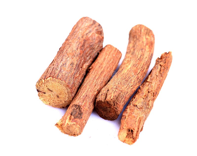 Mulethi stock photo. Image of wood, bark, white, backgroound - 28264118