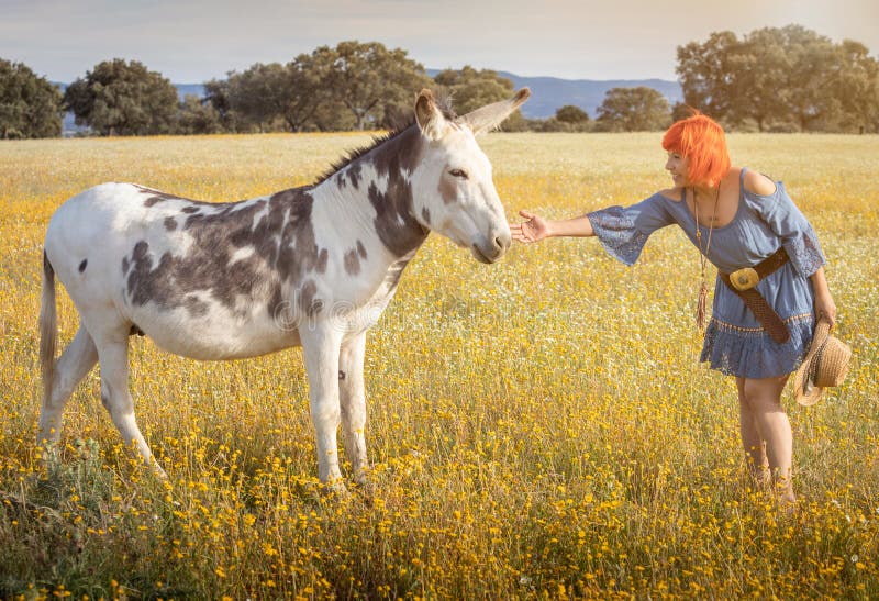 Fotos de Stock de Burro Da Menina Sexy - Fotos de Stock Gratuitas e Sem ...