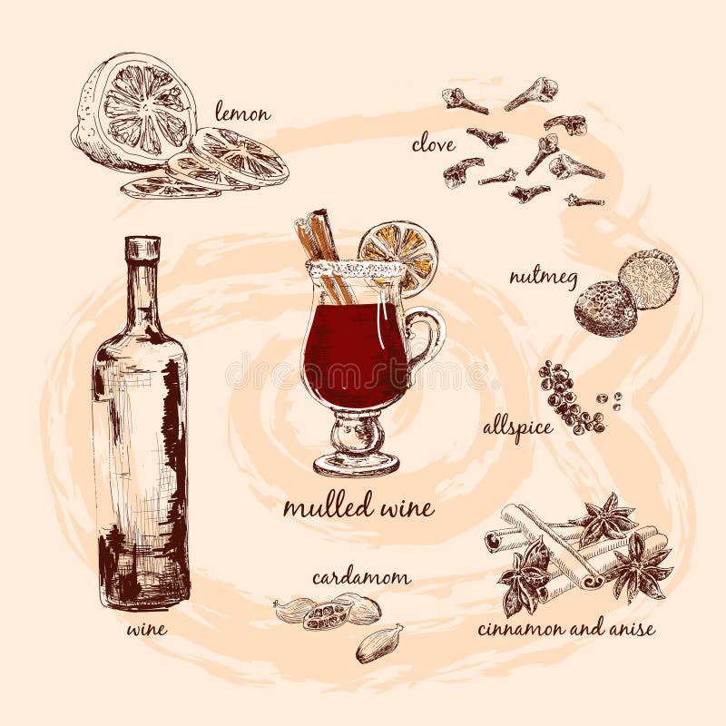 Mulled Wine and Its Components Stock Vector - Illustration of fruit ...