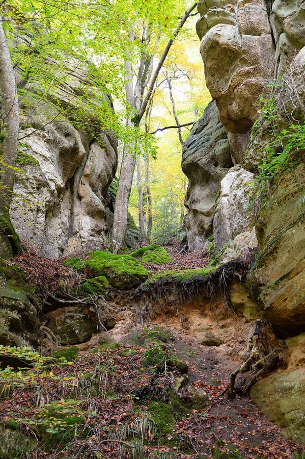 Mullerthal Trail in Luxembourg between Echternach and Berdorf, Hiking ...