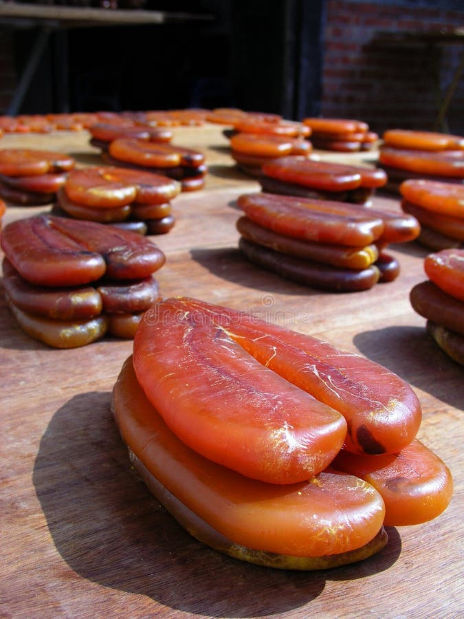 Mullet roe stock image. Image of rare, food, taiwan, eggs - 17245201