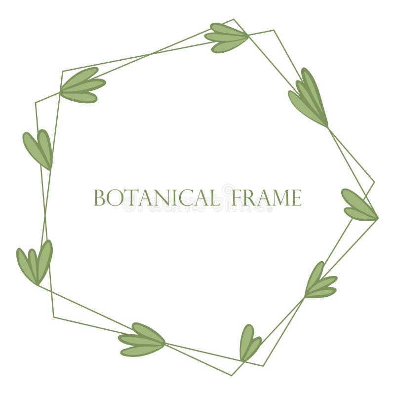 Multi-angle Botanical Frame Vector Illustration. Stock Vector ...