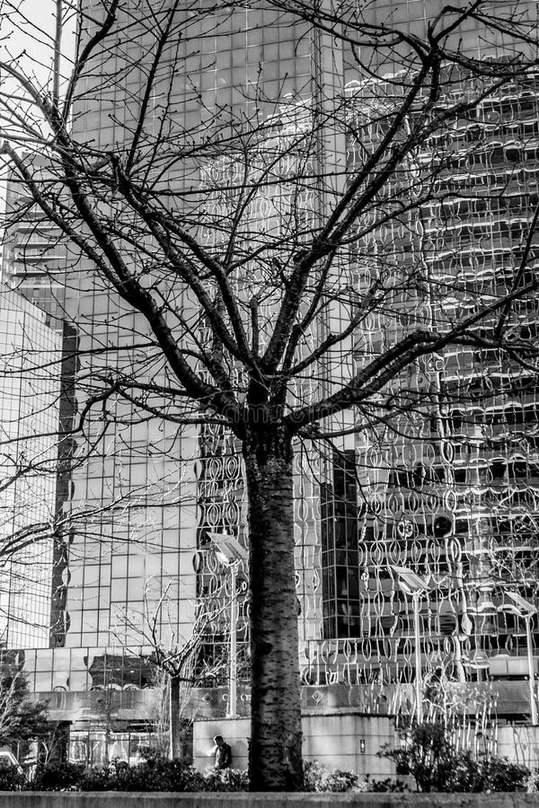 Multi-arms urban monster stock image. Image of wood, branches - 86253607