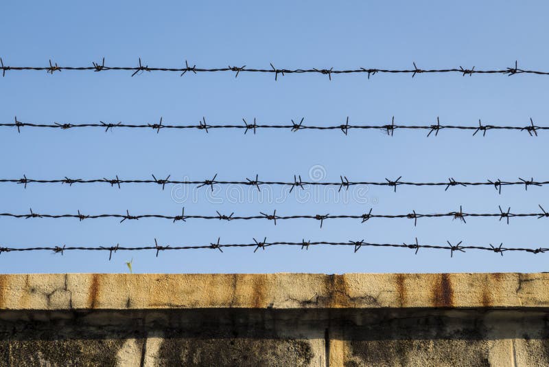 Multi barb wire on wall stock image. Image of boundary - 249102493