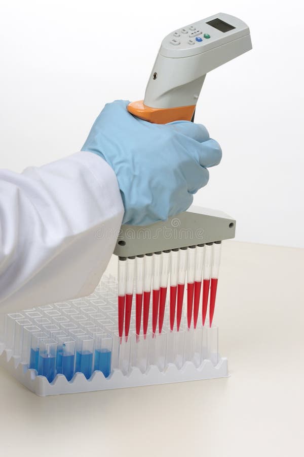 Multi channel pipette stock photo. Image of bench, biomedical - 5679054