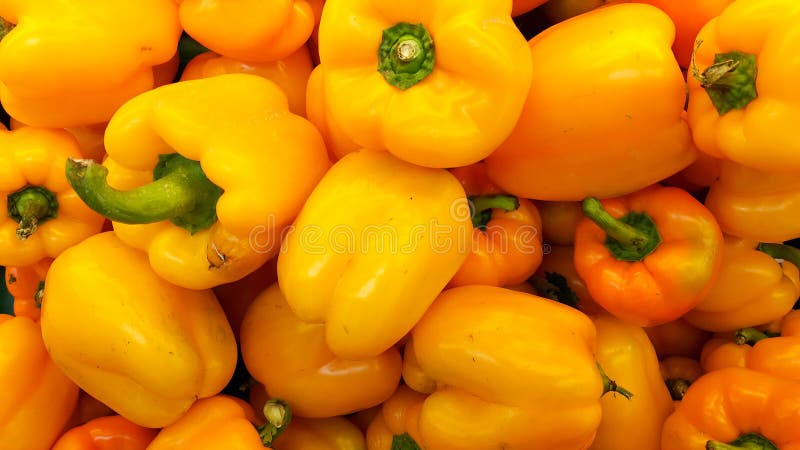 Multi color bell peppers. stock image. Image of mediterranean - 70682407
