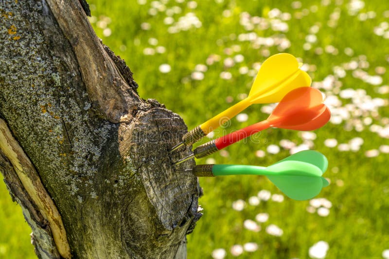 Multi-color Darts Hitting a Tree Trunk Stock Image - Image of revenue ...