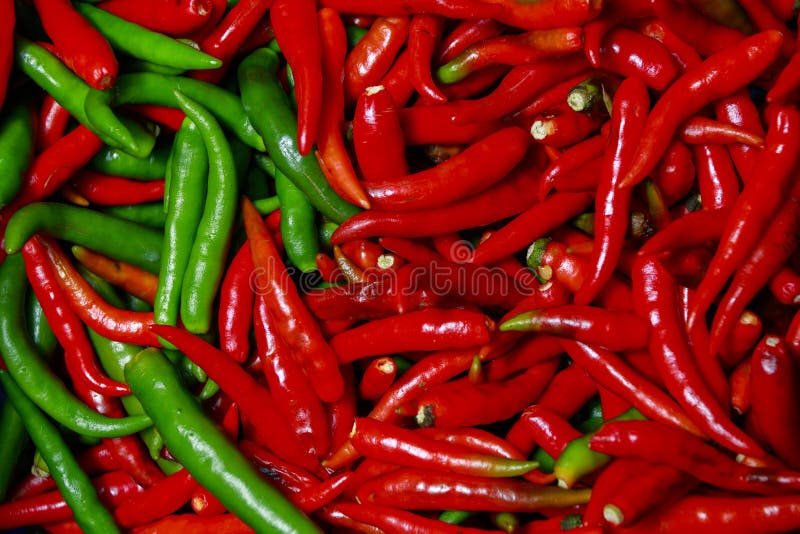 Multi color fresh chilli stock photo. Image of green - 95213698