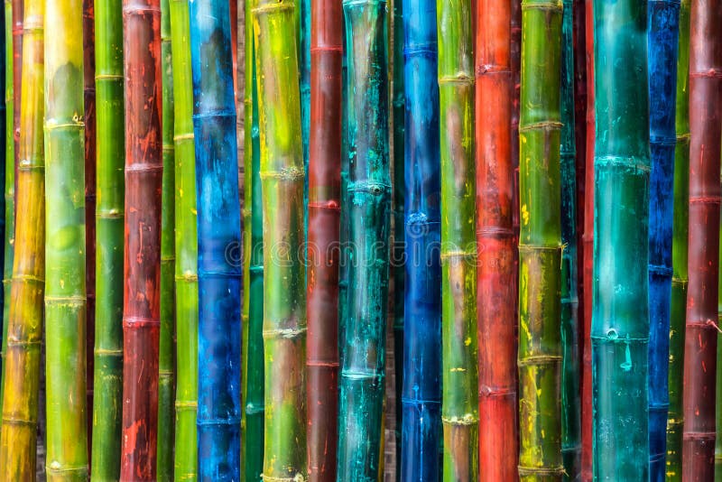 Multi color painted bamboo stock image. Image of orange - 106844967