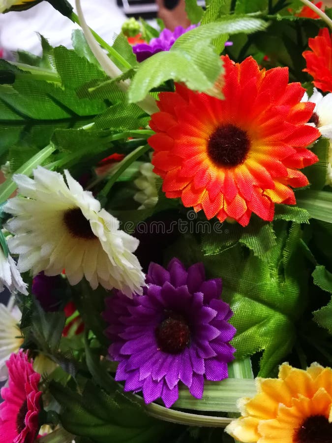 Multi Color of Plastic Flowers for Decorations on Office Table Stock ...
