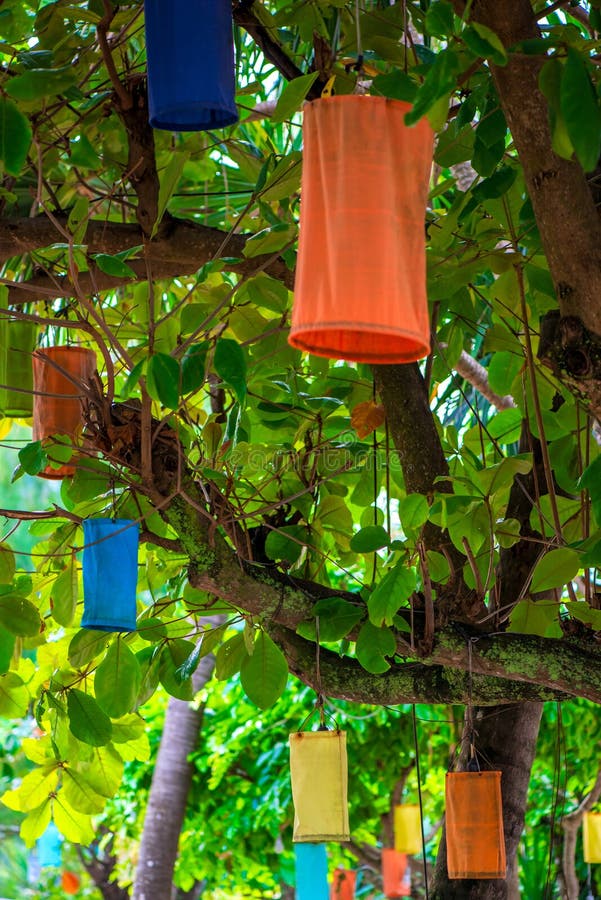 Multi-colored Asian Lanterns Hanging on Trees for Lighting at Ni Stock ...