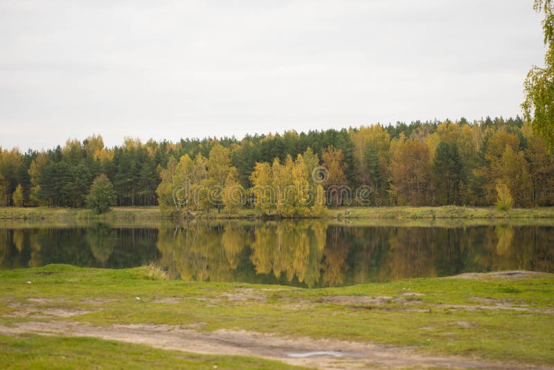 Forest, River and Reflection of Autumn Nature Stock Photo - Image of ...