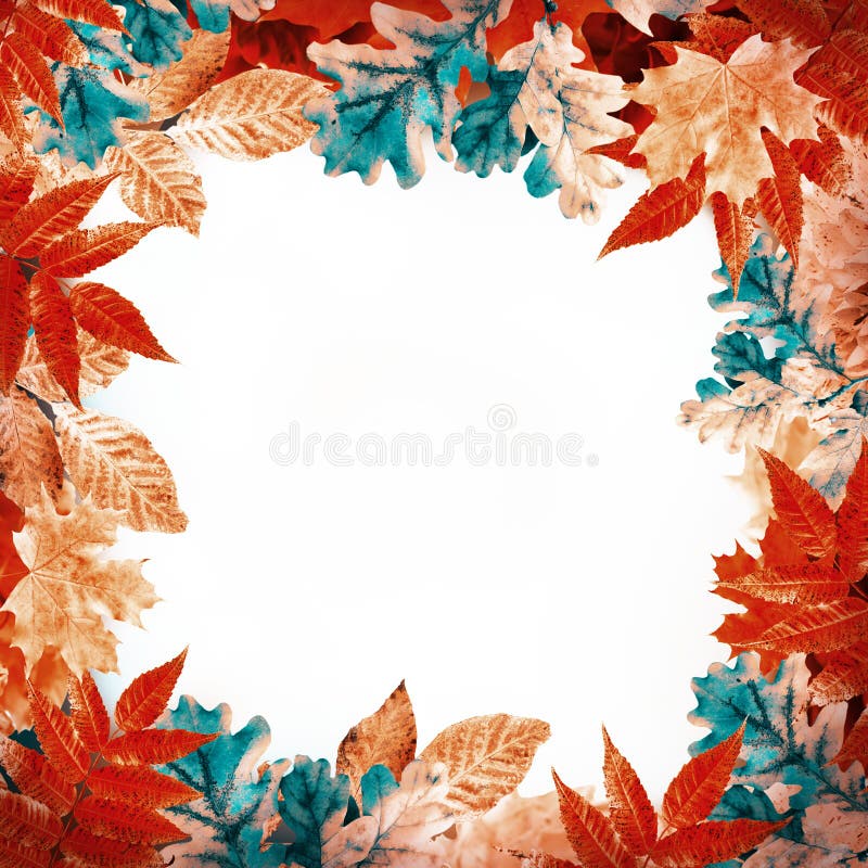 Multi-colored Autumn Leaves Stock Image - Image of copy, decoration ...
