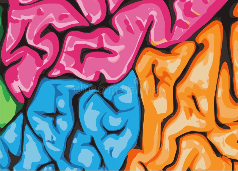 Human Brain.Multi-colored 3d Vector Drawing Illustration of Human Brain ...