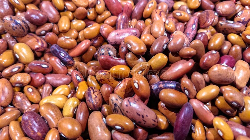 Multi-colored Bean Seed Background with Copy Space Stock Image - Image ...