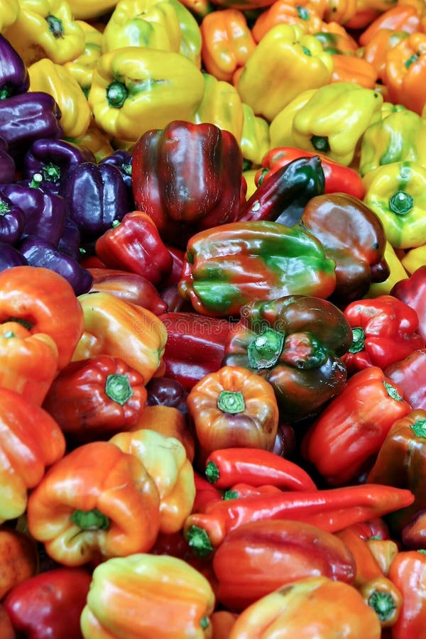 Multi-colored Bell Peppers stock photo. Image of agriculture - 20599000