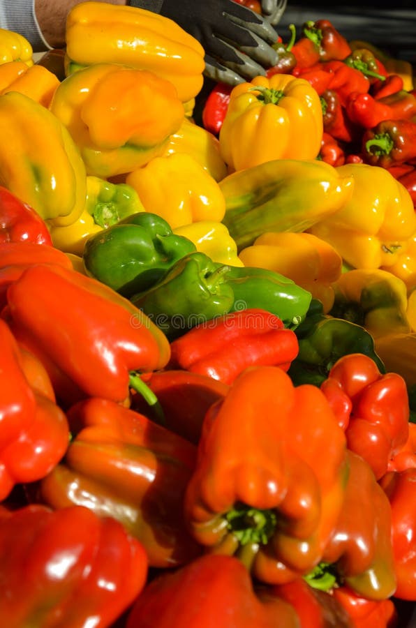 Multi-colored Peppers At Farmers' Market Stock Photo - Image of organic ...