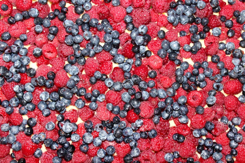 Multi Colored Berry Background Stock Image - Image of multi, color ...
