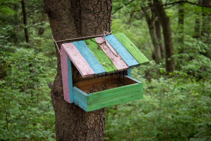 Multi-colored Bird Feeder in the Forest Stock Photo - Image of summer ...