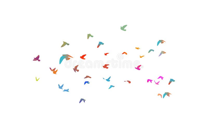Multi-colored Birds. a Flock of Flying Rainbow Birds. Vector ...