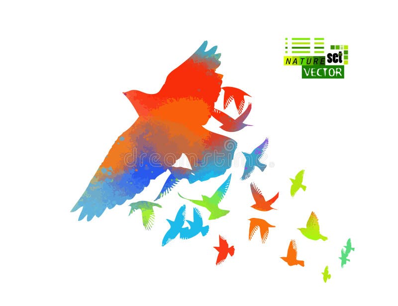 Multi-colored Birds. a Flock of Flying Rainbow Birds. Mixed Media ...