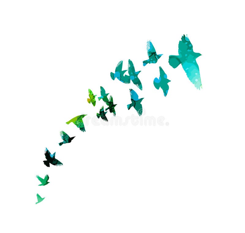 Multi-colored Birds. a Flock of Flying Rainbow Birds. a Lot of Soaring ...